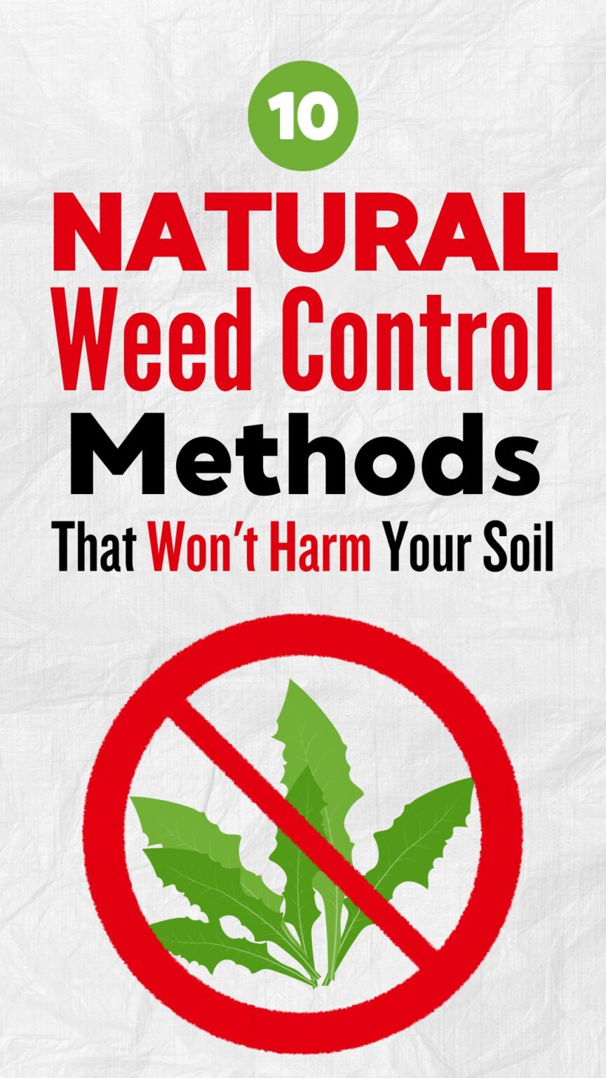 10 Natural Weed Control Methods That Won't Harm Your Soil - Complete ...