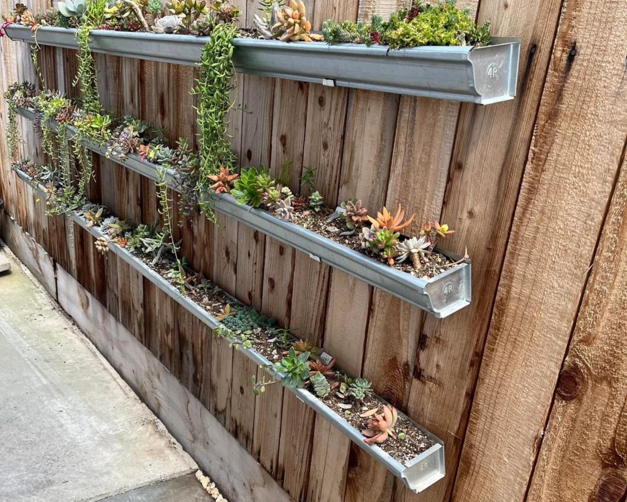 13 Affordable DIY Garden Projects: Creative Ways to Reuse and Recycle ...