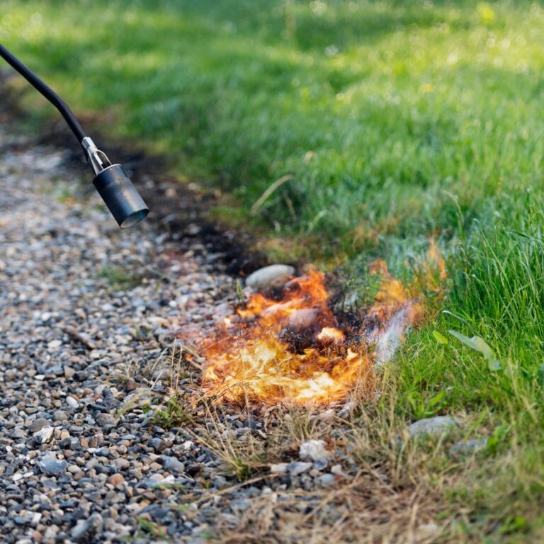 10 Natural Weed Control Methods That Won't Harm Your Soil - Complete ...