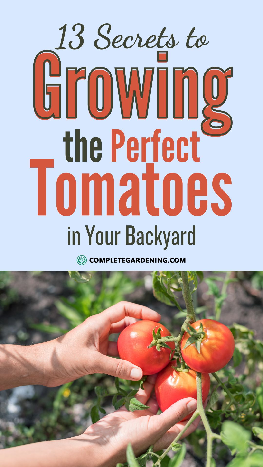 13 Secrets to Growing the Perfect Tomatoes in Your Backyard - Complete ...