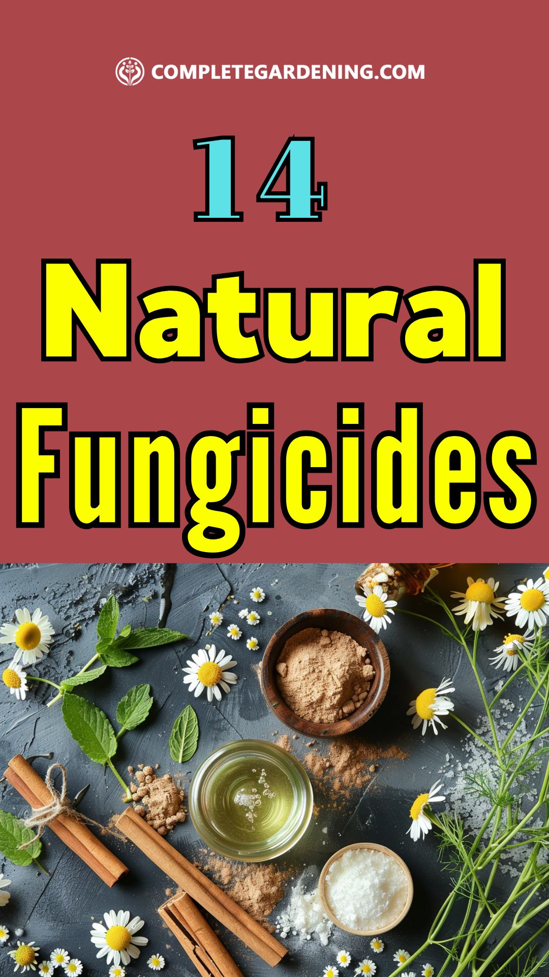 14 Natural Fungicides to Prevent and Treat Plant Diseases: Safe and ...