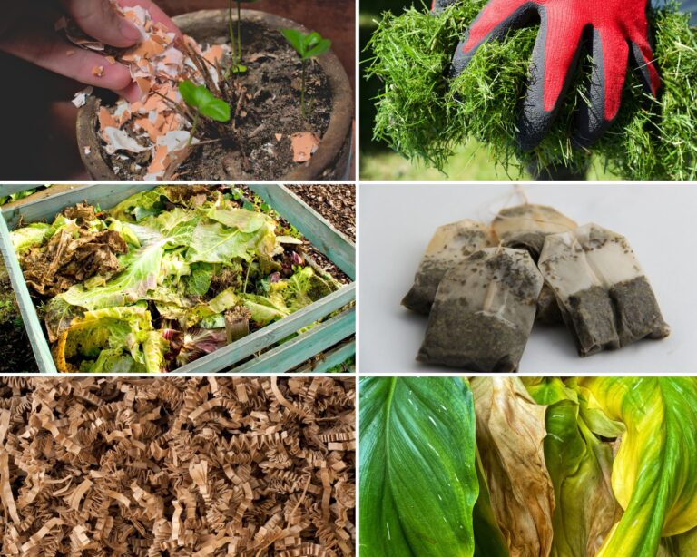 Composting Secrets: The Ultimate Guide to Perfecting Your Pile ...