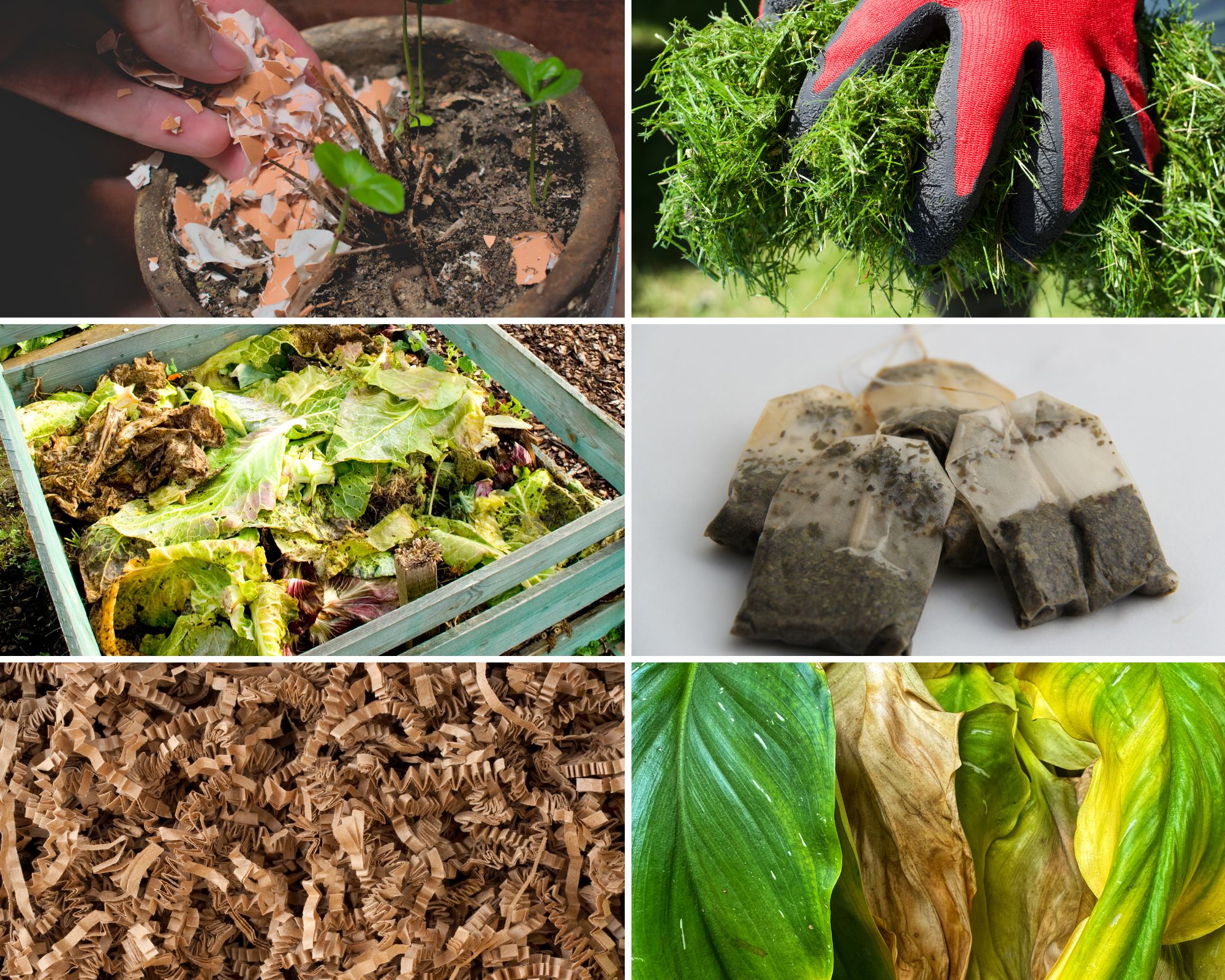 Composting Secrets: The Ultimate Guide to Perfecting Your Pile ...