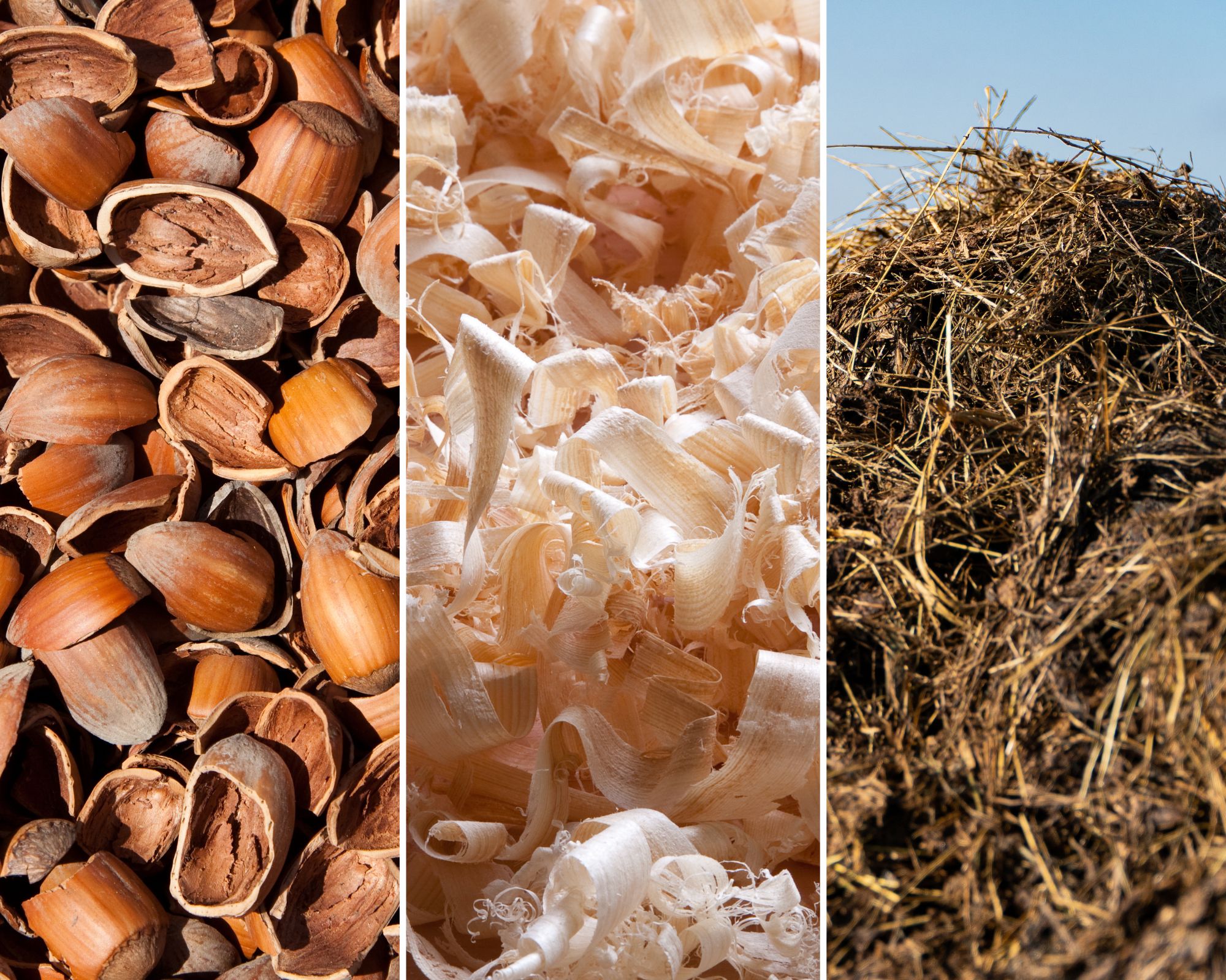 Composting Secrets: The Ultimate Guide to Perfecting Your Pile ...