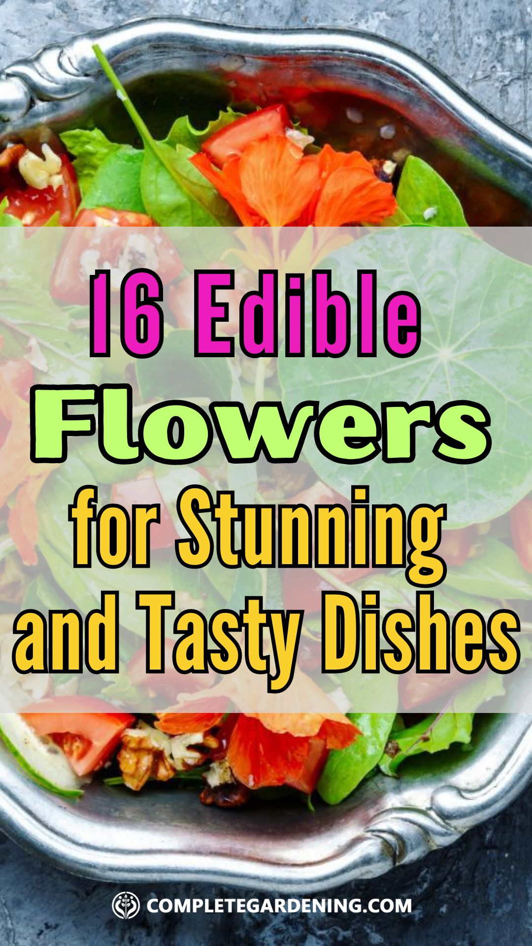 16 Edible Flowers for Stunning and Tasty Dishes - Complete Gardening