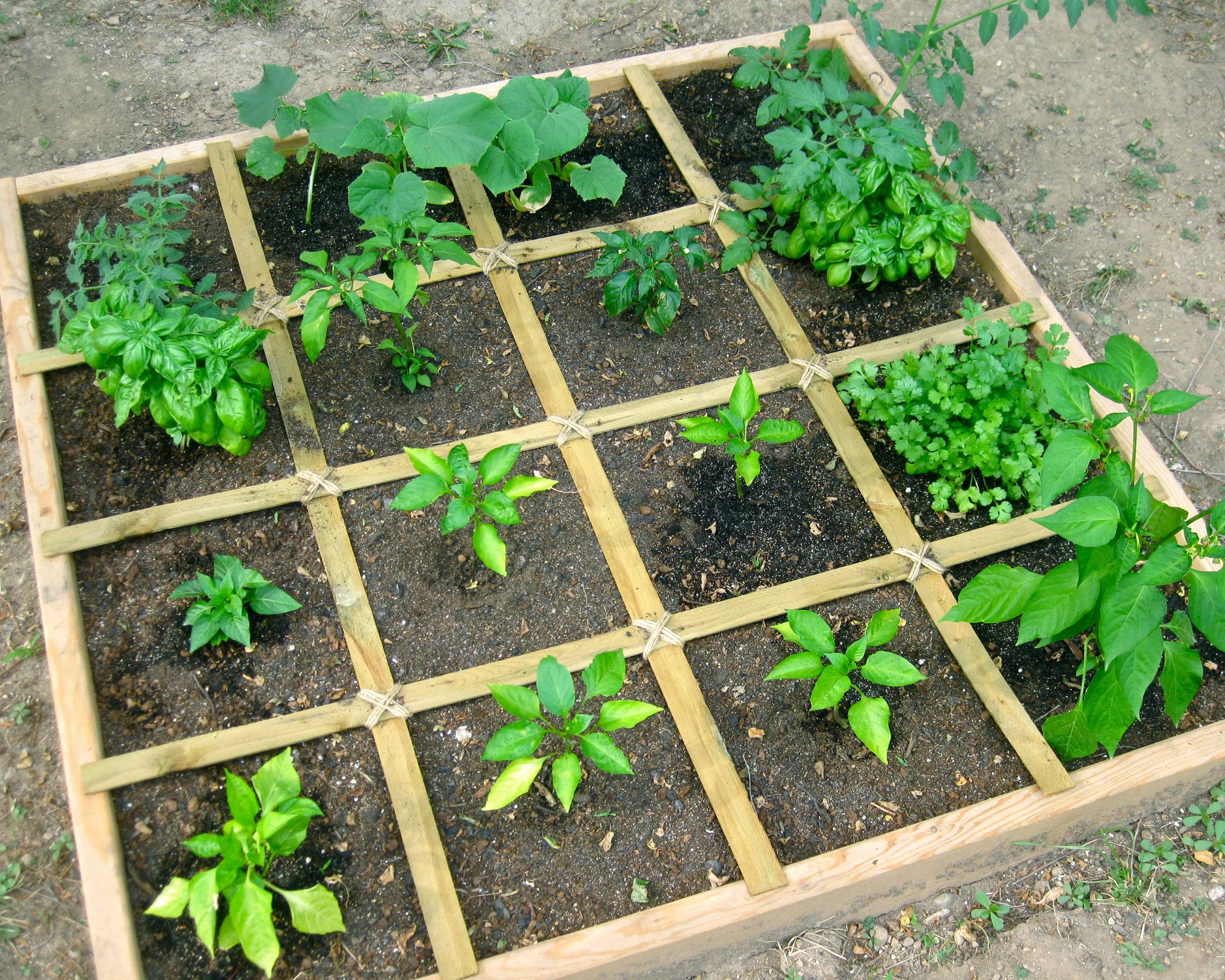 5 Key Strategies for Efficient Small Space Gardening - Complete Gardening