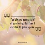 50 Inspiring Gardening Quotes to Motivate Your Green Thumb - Complete ...