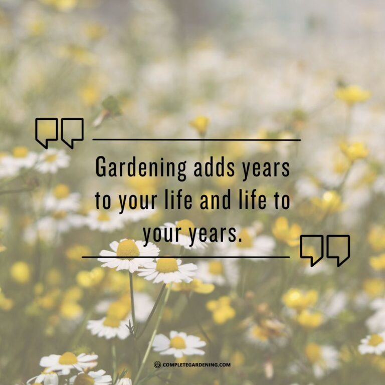 50 Inspiring Gardening Quotes to Motivate Your Green Thumb - Complete ...