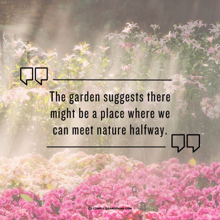 50 Inspiring Gardening Quotes to Motivate Your Green Thumb - Complete ...