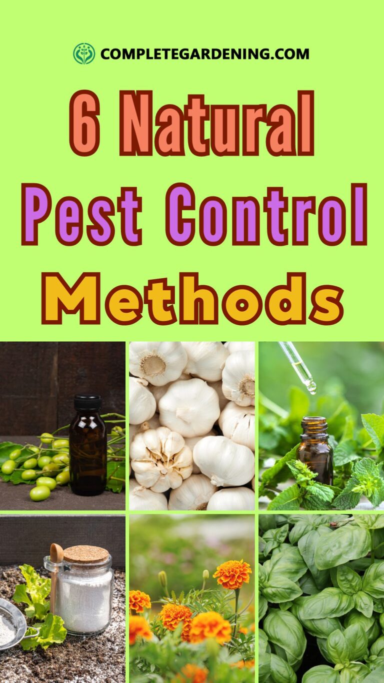 6 Natural Pest Control Methods That Actually Work (Without Harming Your ...