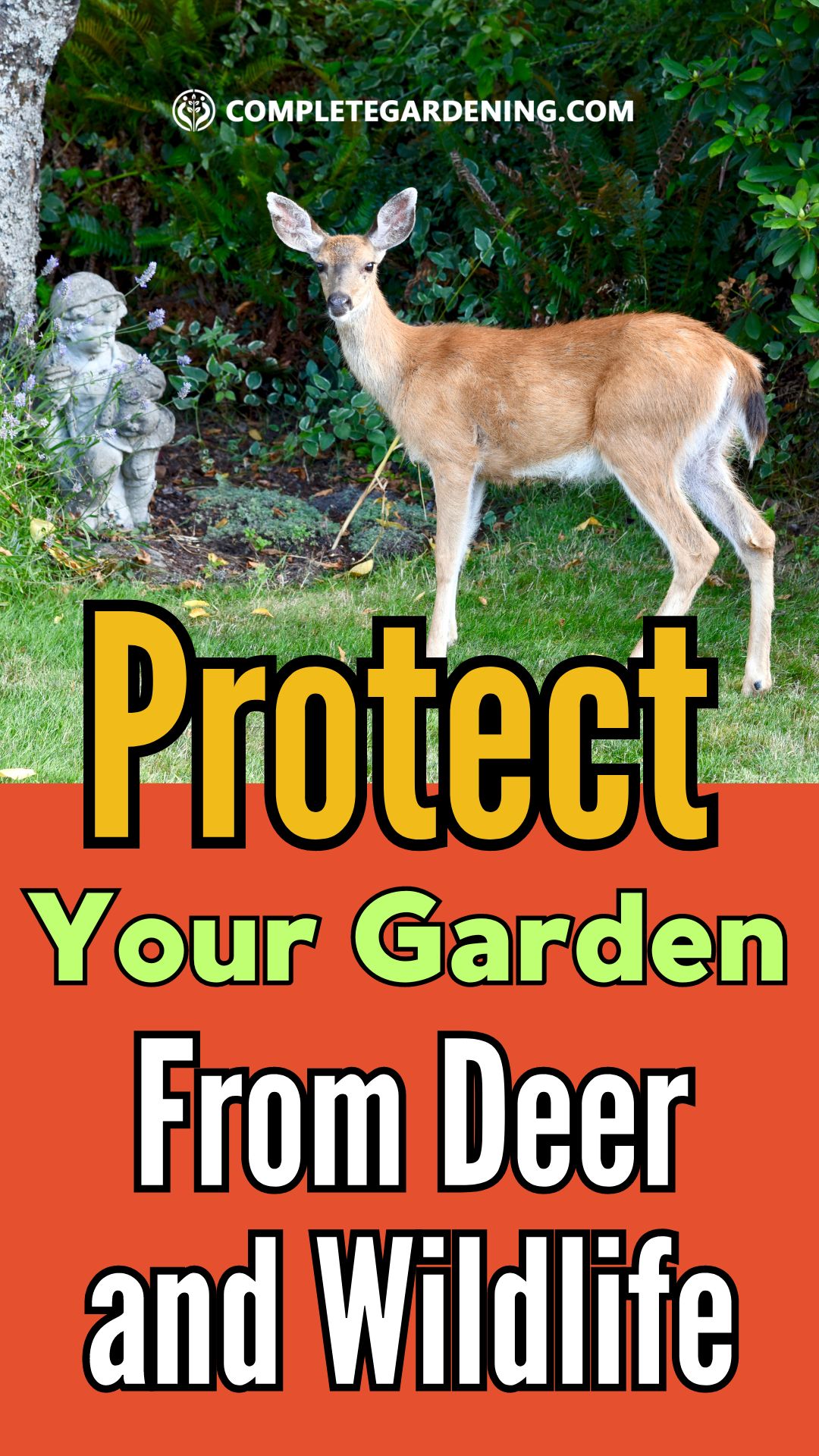 6 Tips to Protect Your Garden From Deer and Wildlife - Complete Gardening