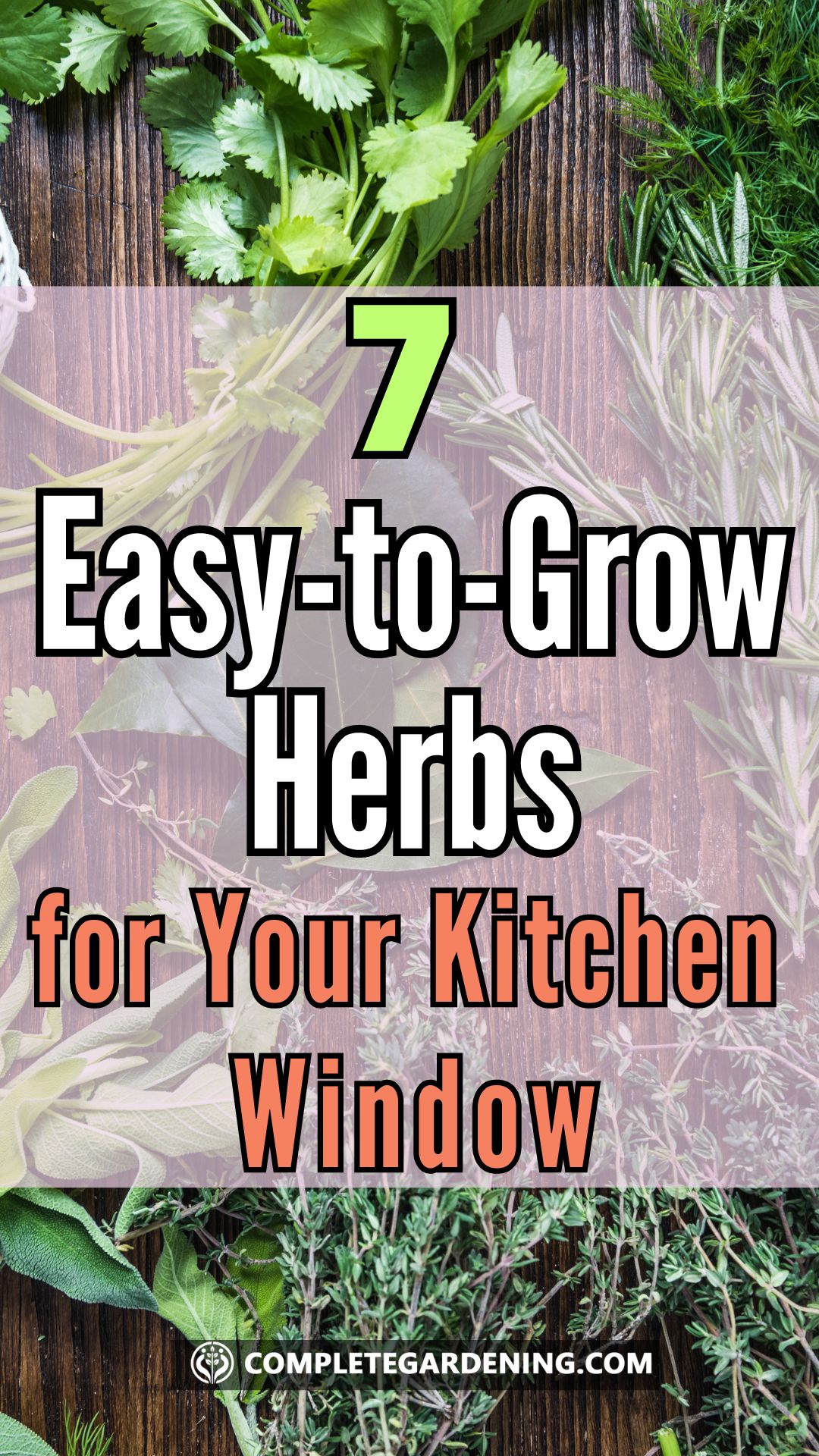 7 Easy-to-Grow Herbs for Your Kitchen Window - Complete Gardening