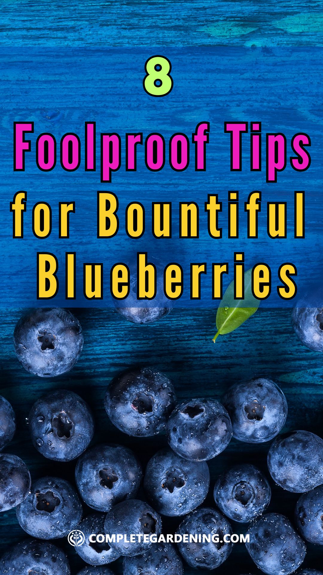 8 Foolproof Tips for Growing Healthy, Bountiful Blueberries - Complete ...