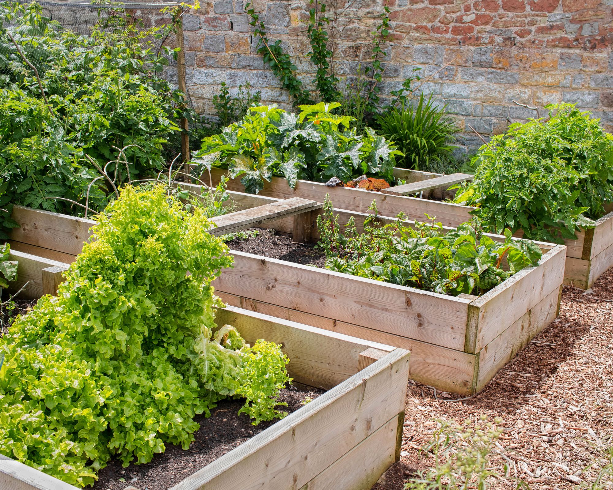 13 Affordable DIY Garden Projects: Creative Ways to Reuse and Recycle ...