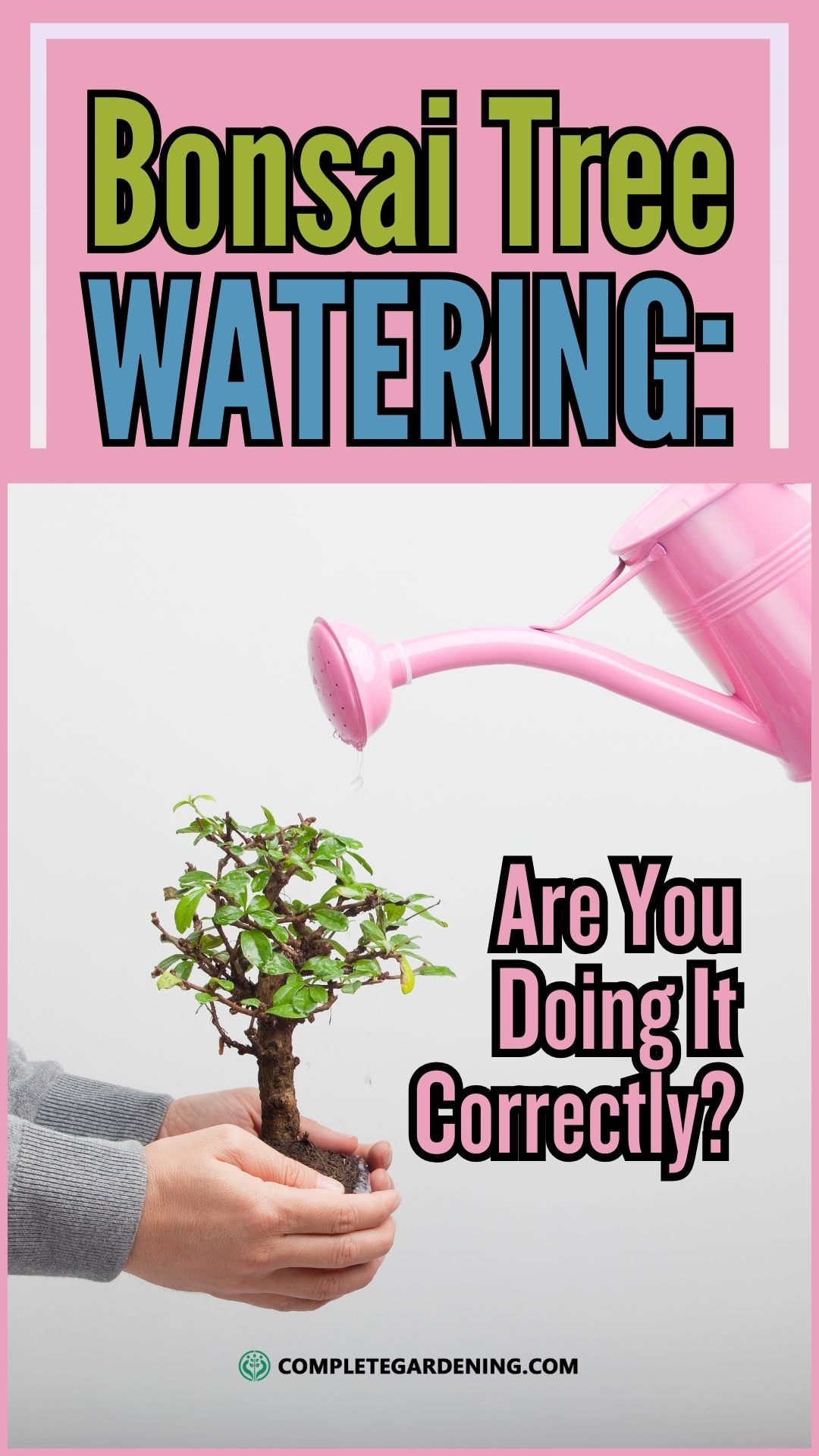 Bonsai Tree Watering: Are You Doing It Correctly? - Complete Gardening