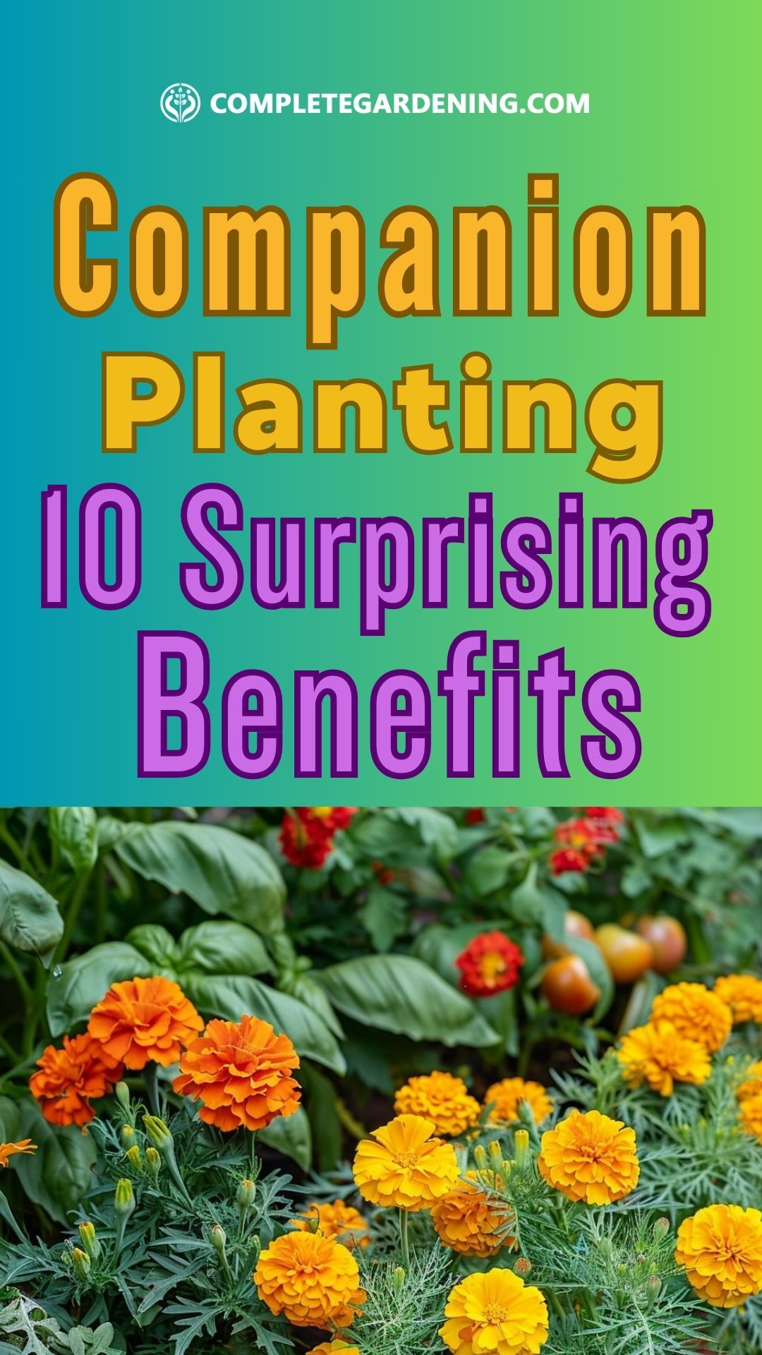 Companion Planting: 10 Surprising Benefits for Your Vegetable Garden ...