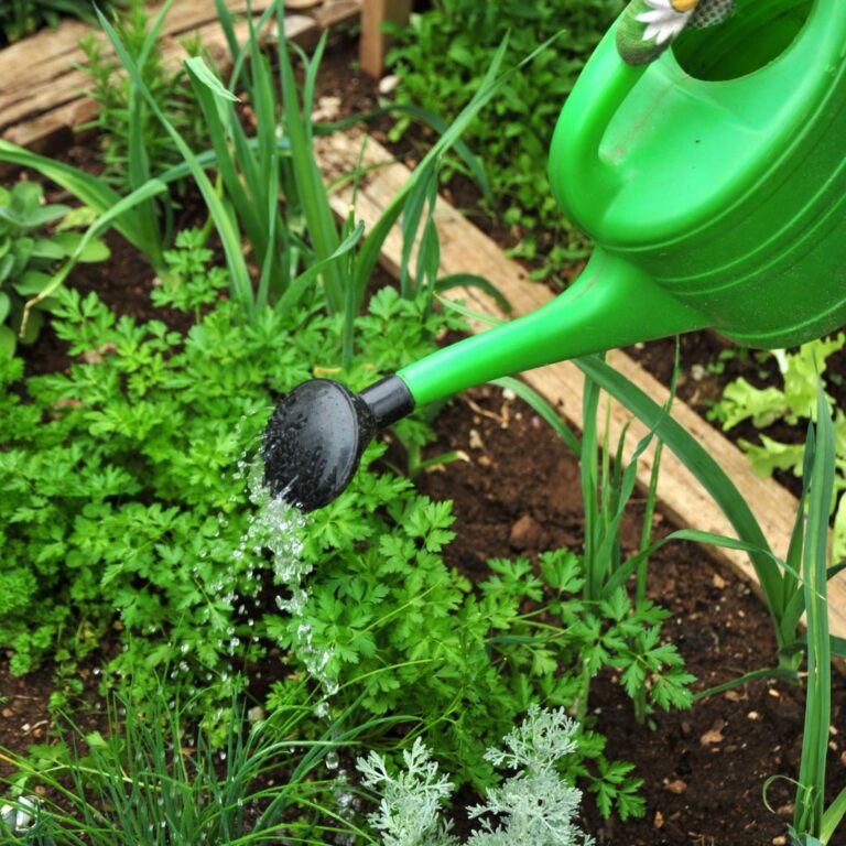 10 Plants That Naturally Repel Pests and How to Use Them Effectively ...