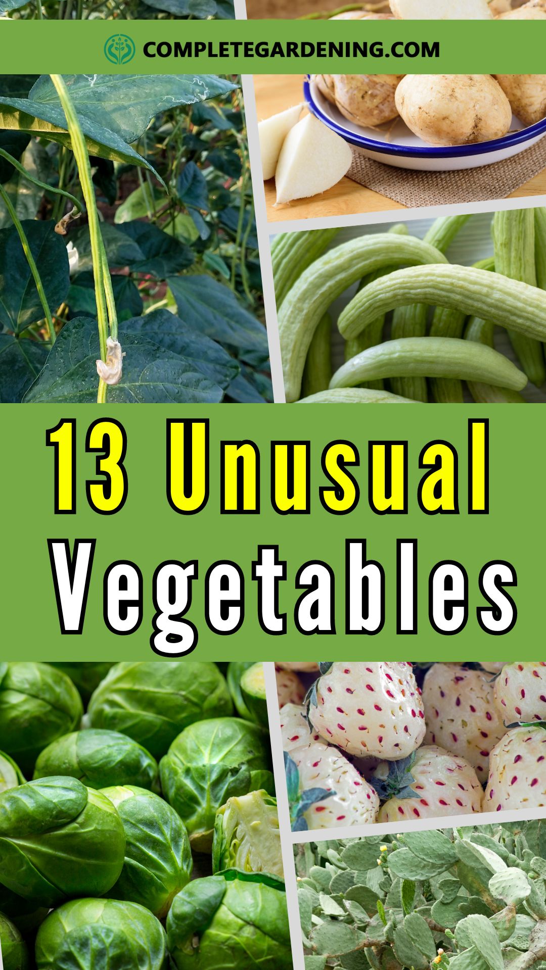 13 Unusual Vegetables You Can Easily Grow at Home - Complete Gardening