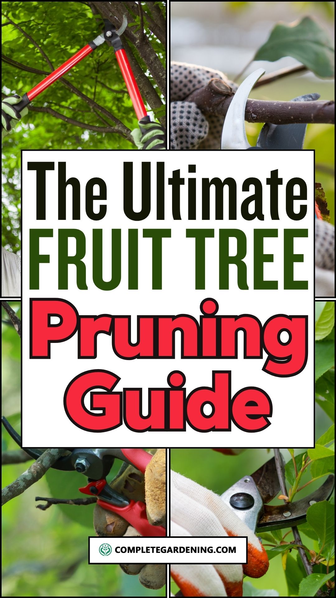 Elevate Your Orchard: The Ultimate Fruit Tree Pruning Guide - Complete Gardening