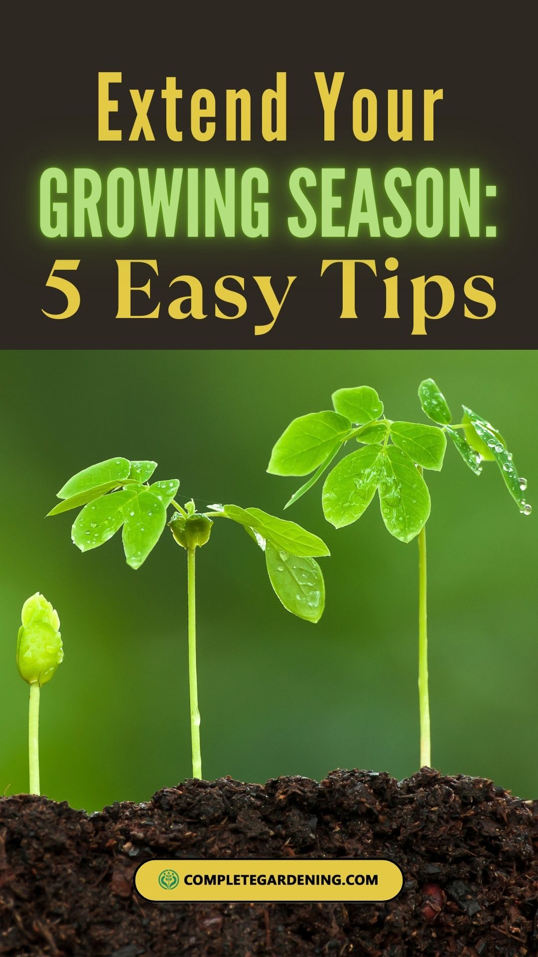 Extend Your Growing Season: 5 Easy Tips - Complete Gardening