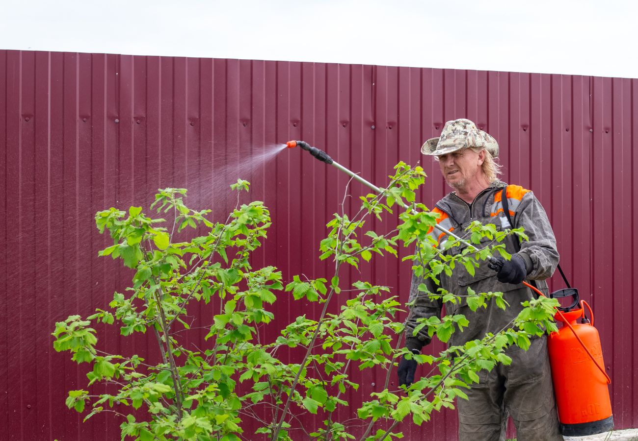 10 Effective Methods to Prevent and Control Powdery Mildew on Plants ...