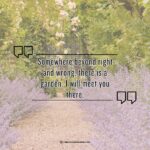 50 Inspiring Gardening Quotes to Motivate Your Green Thumb - Complete ...