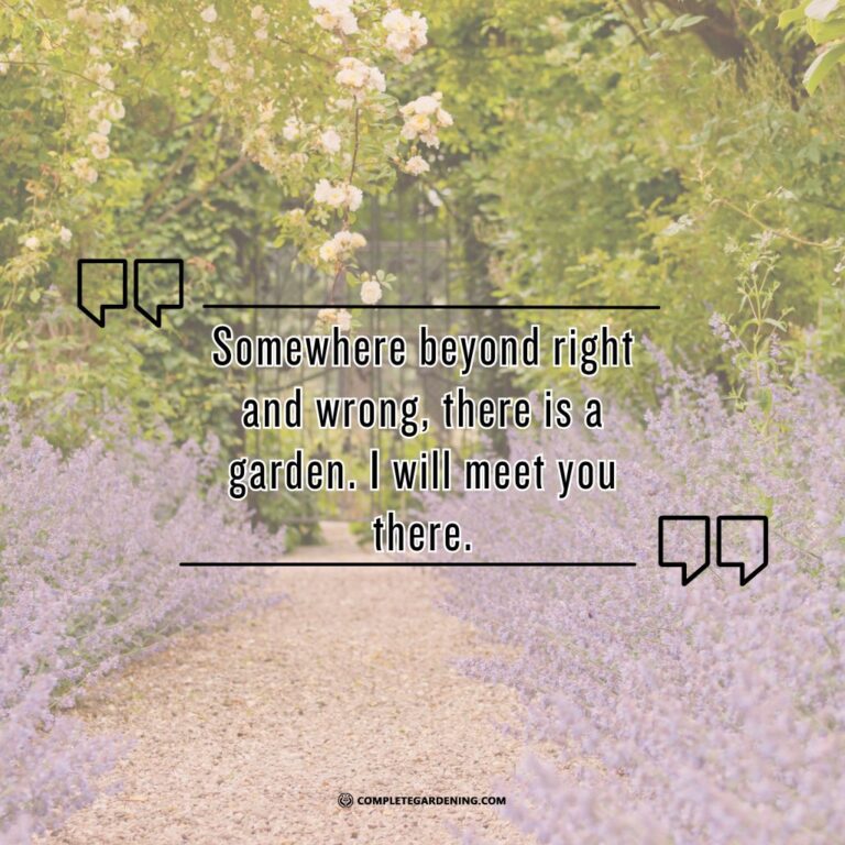 50 Inspiring Gardening Quotes to Motivate Your Green Thumb - Complete ...