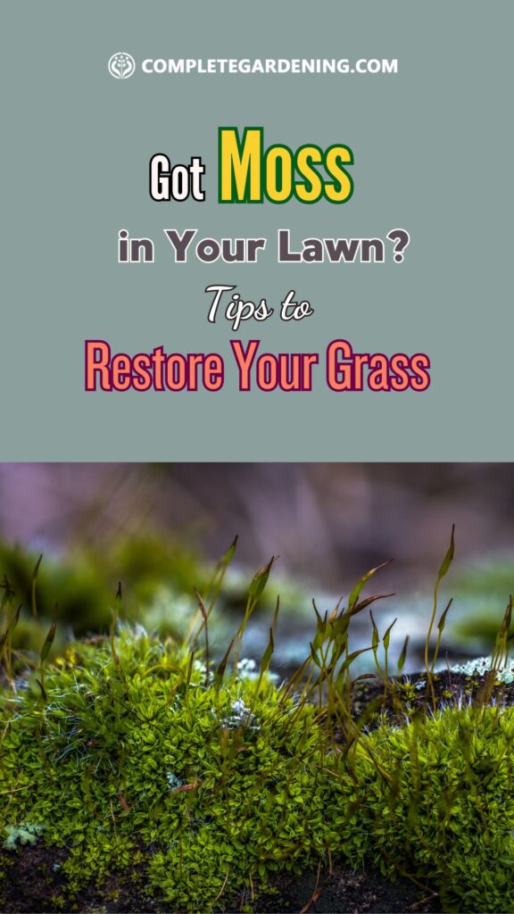 Got Moss in Your Lawn? – Tips to Restore Your Grass - Complete Gardening