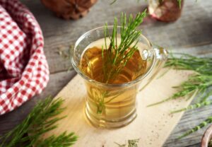 14 Natural Fungicides to Prevent and Treat Plant Diseases: Safe and ...