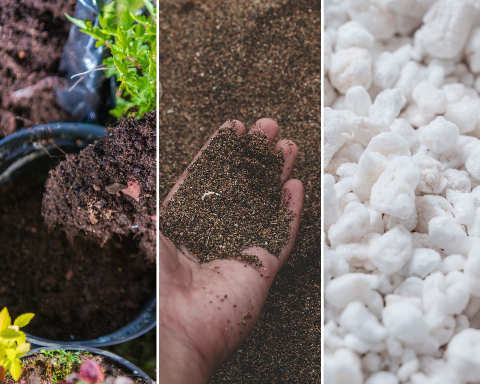 The Ideal Soil Mix for Christmas Cacti: A Gardener's Guide - Complete ...