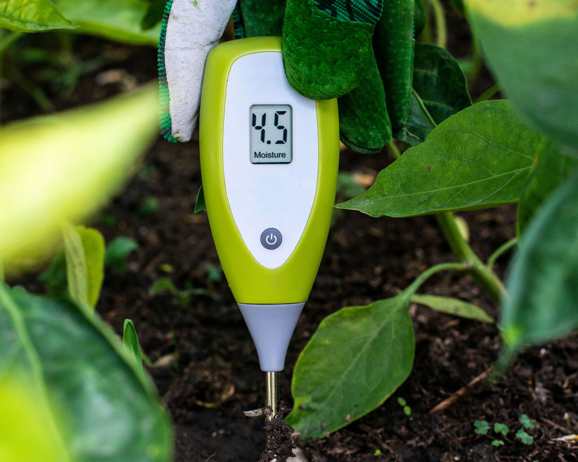 Composting Secrets: The Ultimate Guide to Perfecting Your Pile ...