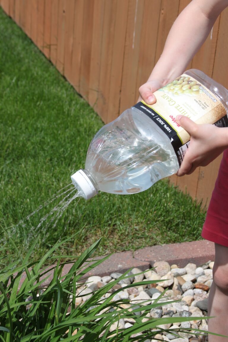 10 Clever Ways to Recycle Plastic Containers for Your Garden - Complete ...