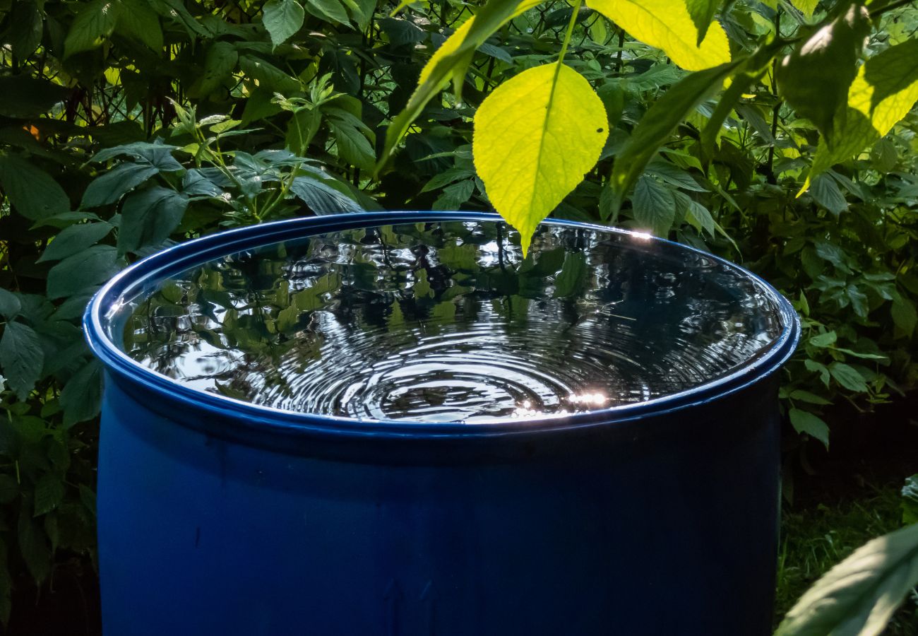 10 Clever Ways to Recycle Plastic Containers for Your Garden - Complete ...