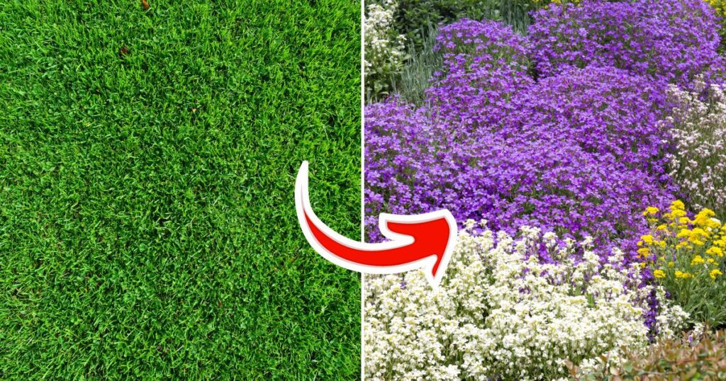 11 Ground Cover Plants That Can Replace Your Grass - Complete Gardening