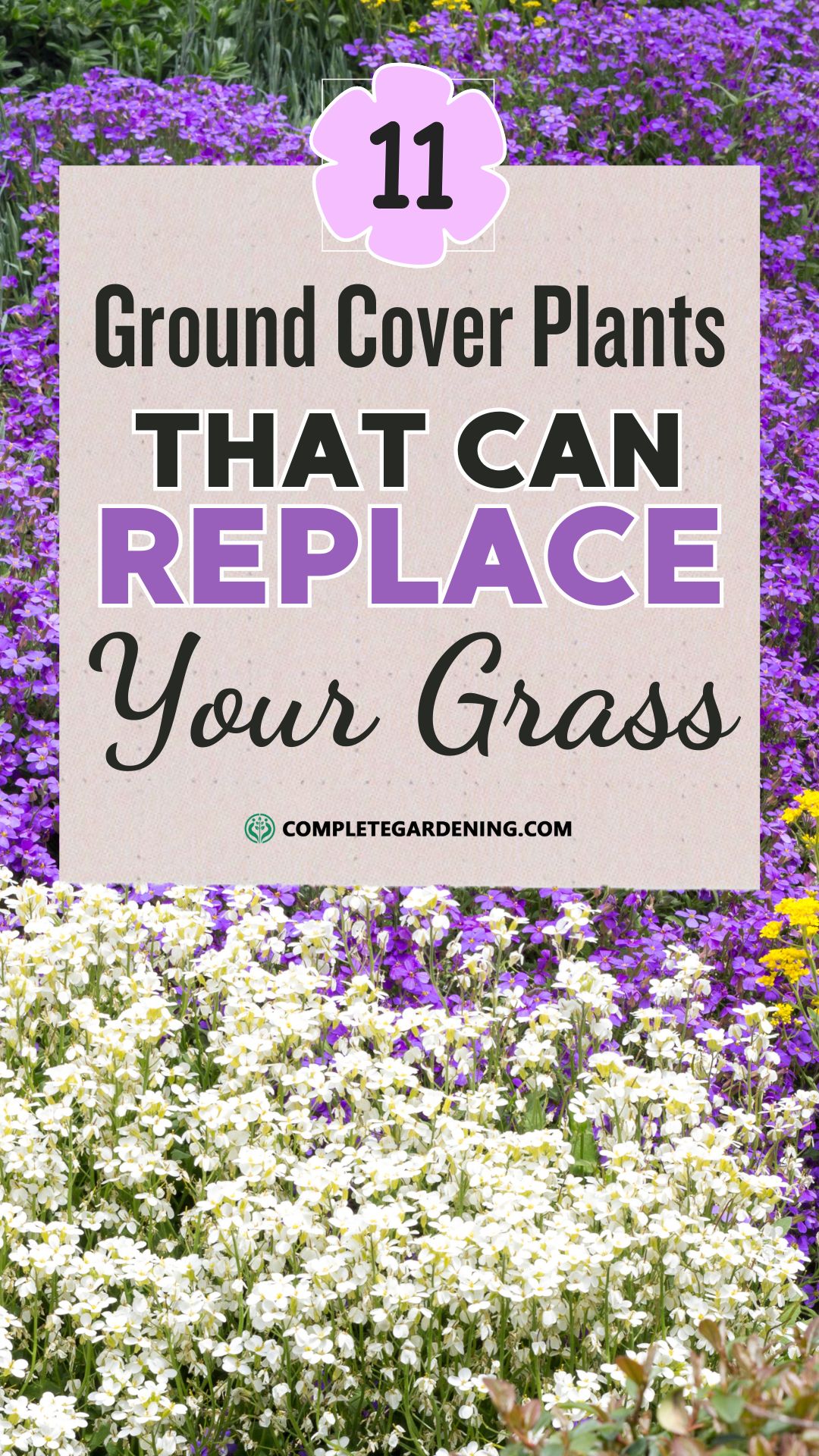 11 Ground Cover Plants That Can Replace Your Grass - Complete Gardening