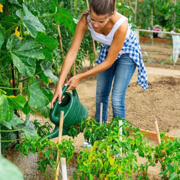 11 Secrets to Growing Exceptional Peppers - Complete Gardening