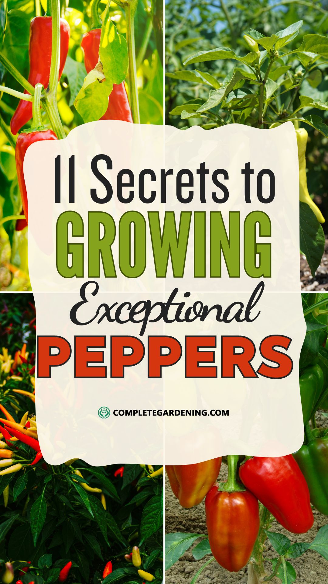 11 Secrets to Growing Exceptional Peppers - Complete Gardening