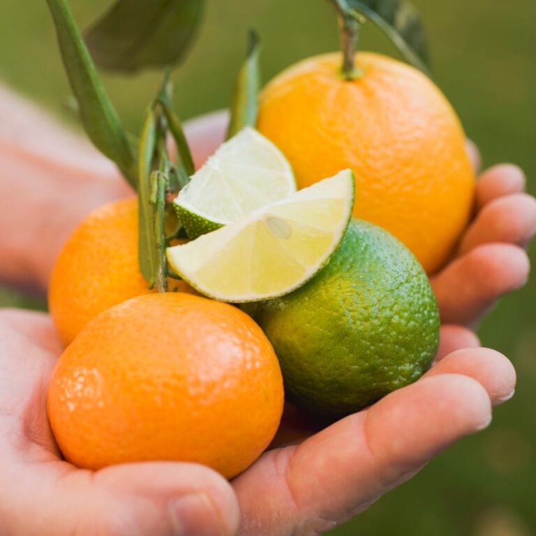 17 Fruits You Can Easily Grow At Home And Enjoy Fresh Produce ...