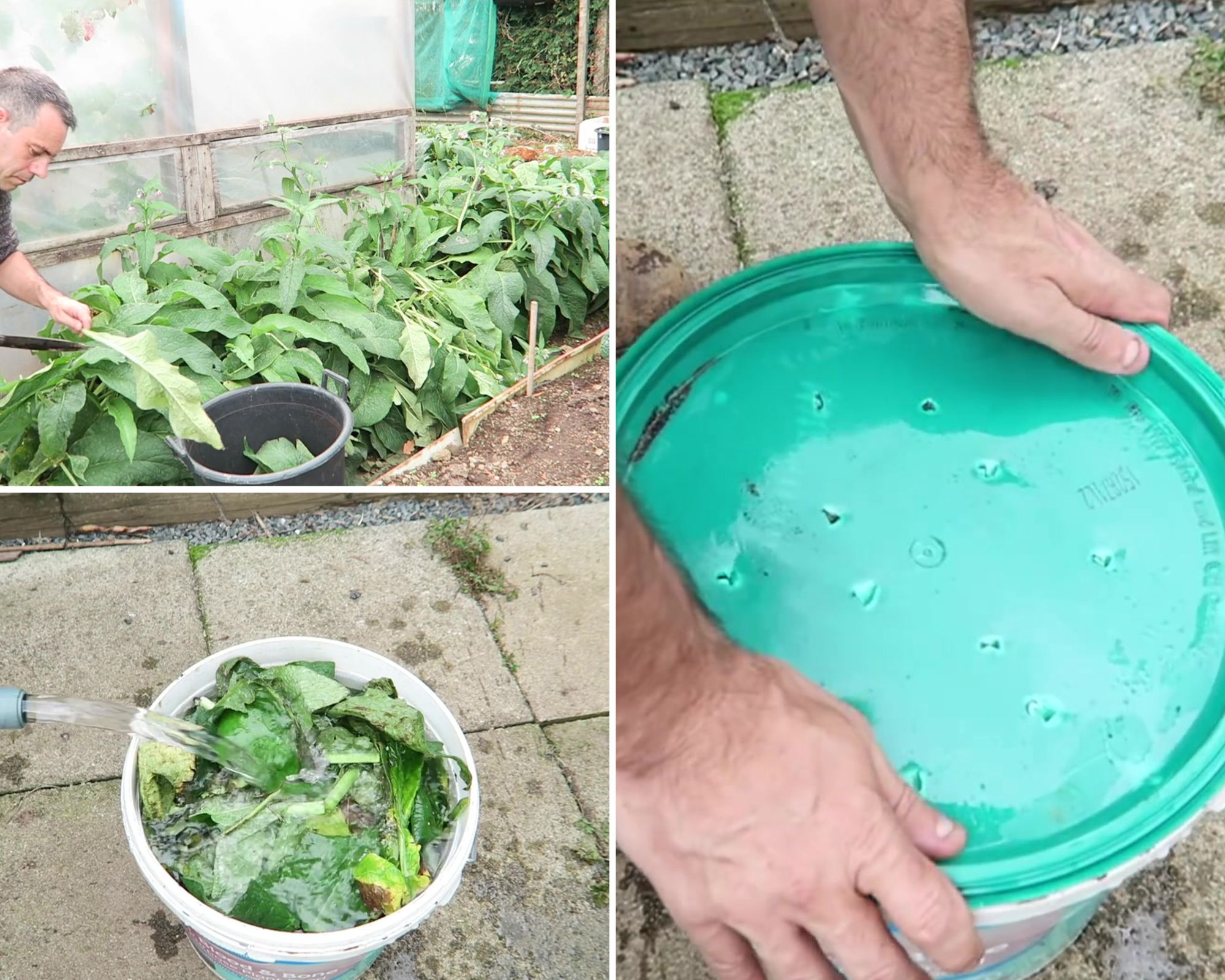 Comfrey Fertilizer: The Miracle Mix - Complete Gardening