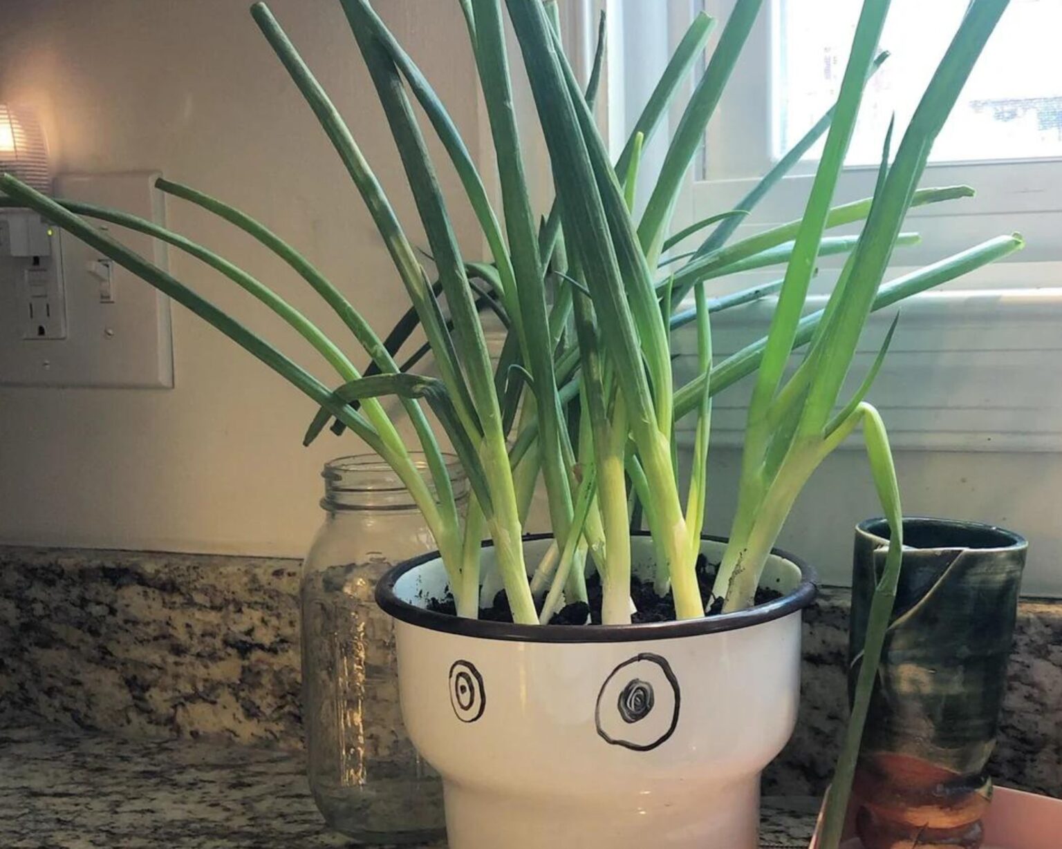 7 Fast Indoor Veggies: Ready in a Month - Complete Gardening