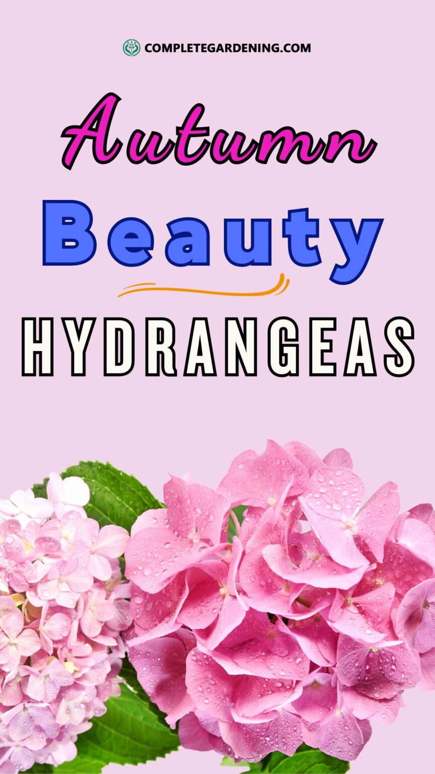 Autumn Beauty: 17 Hydrangeas That Shine in the Fall Garden - Complete ...