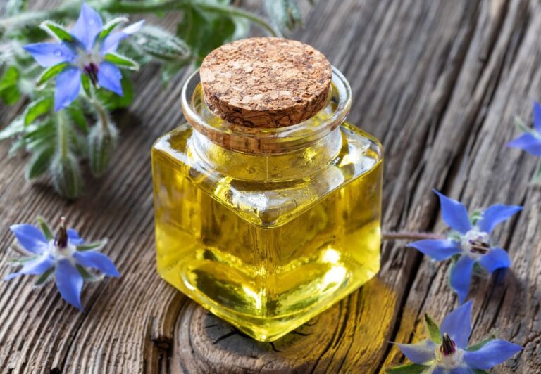 Borage: 16 Benefits You Won’t Believe + Practical Uses - Complete Gardening