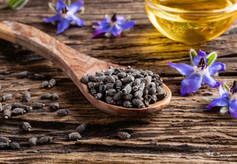 Borage: 16 Benefits You Won’t Believe + Practical Uses - Complete Gardening