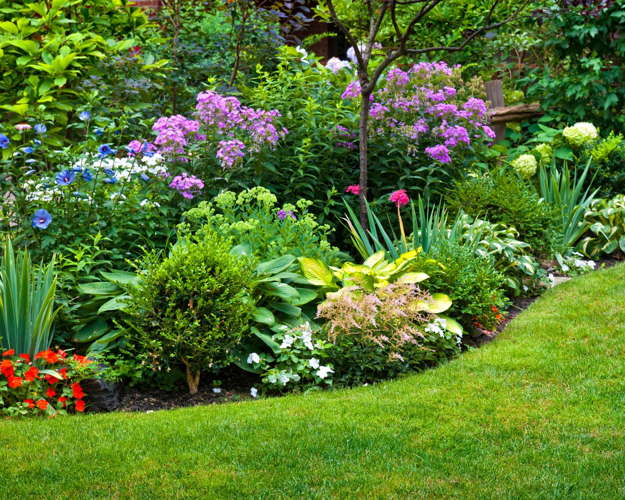 7 Hardest Flowers to Grow: A Challenge for Dedicated Gardeners ...