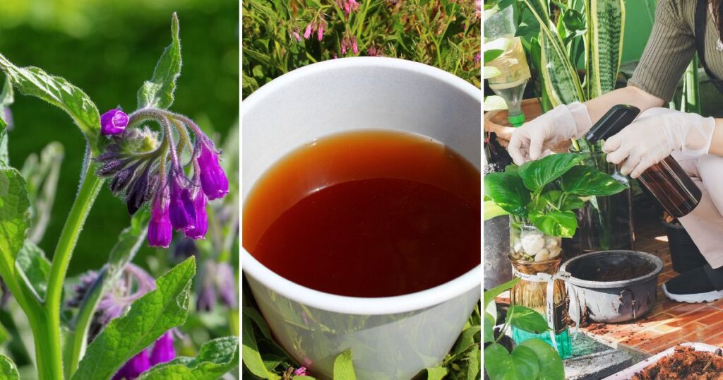 Comfrey Fertilizer: The Miracle Mix - Complete Gardening