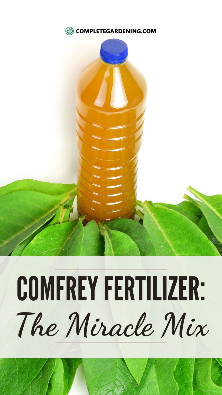 Comfrey Fertilizer: The Miracle Mix - Complete Gardening