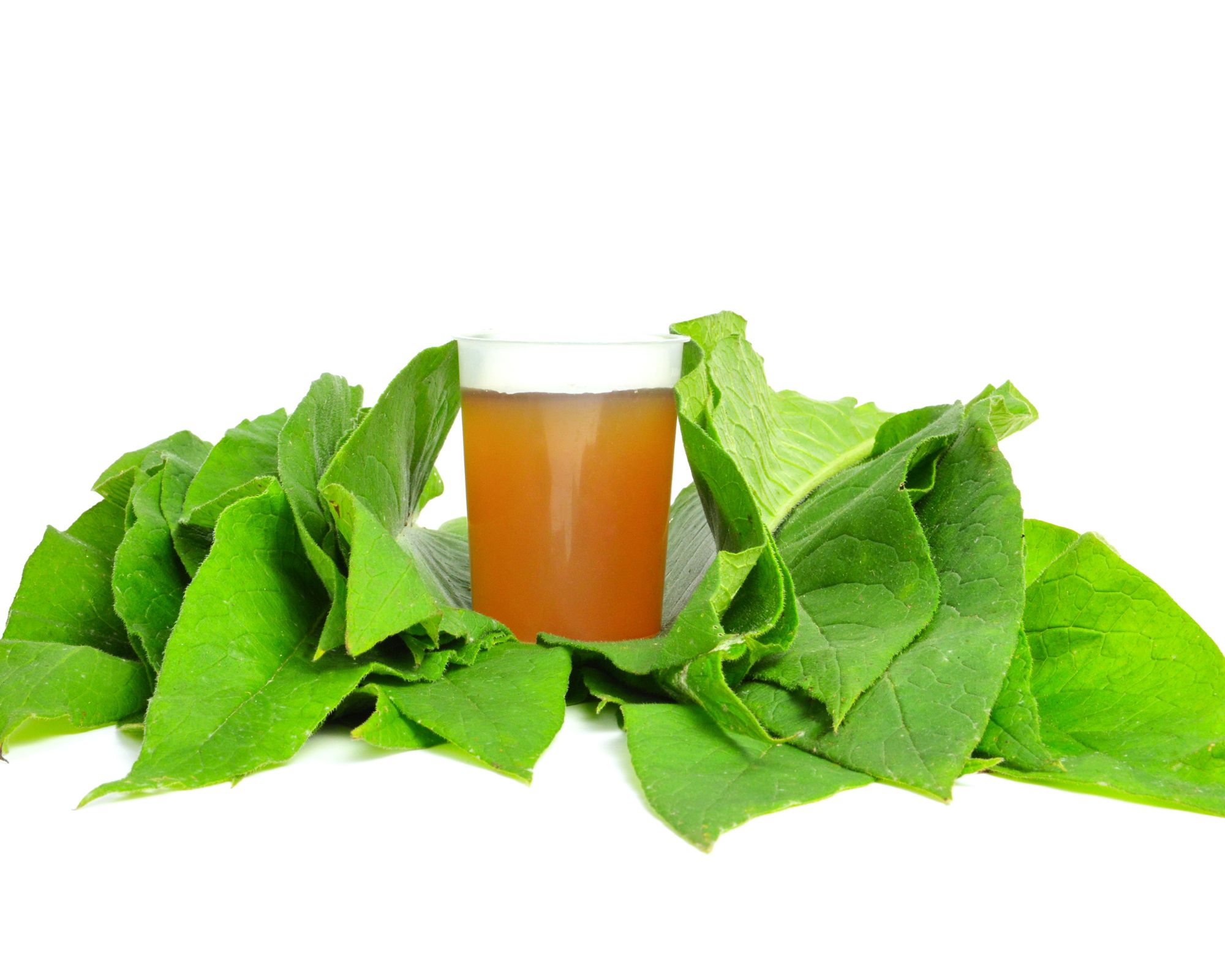 Comfrey Fertilizer: The Miracle Mix - Complete Gardening