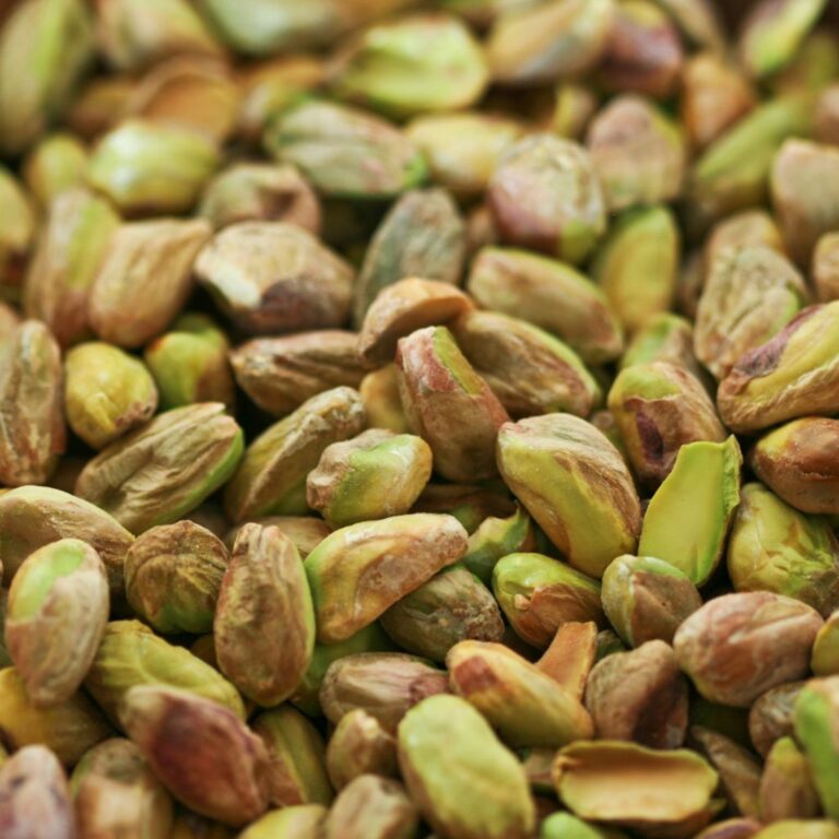 Growing Pistachios from Seed: Step by Step - Complete Gardening