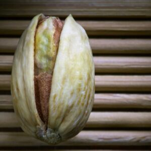 Growing Pistachios from Seed: Step by Step - Complete Gardening