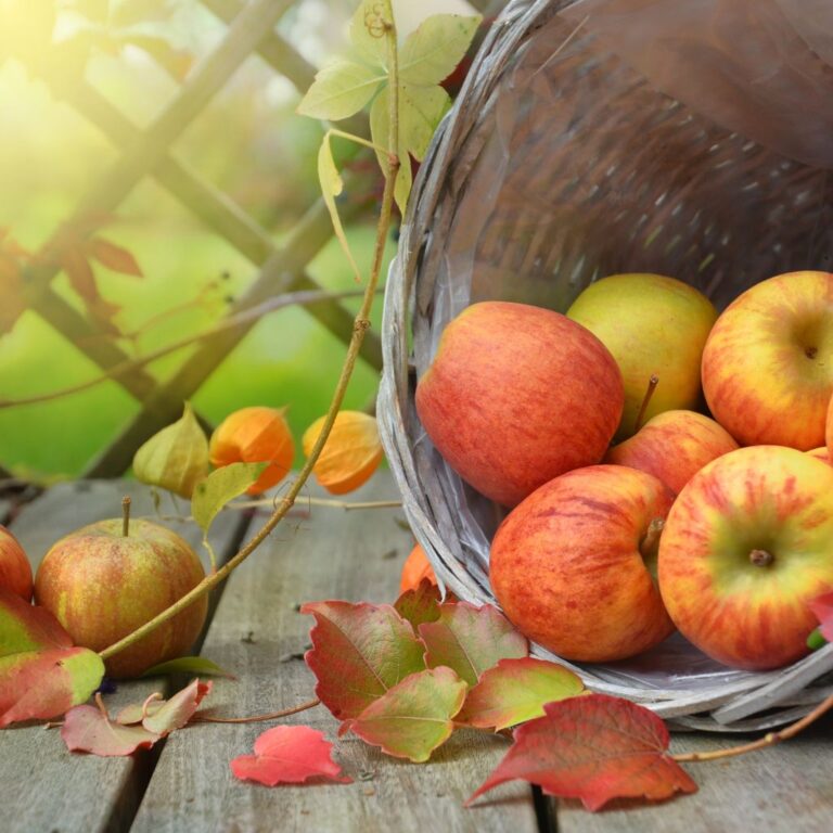 A Step-by-Step Guide to Growing Your Own Apple Tree for Delicious ...